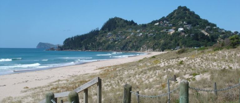 Coromandel Road Status and Updates - Coromandel's CFM