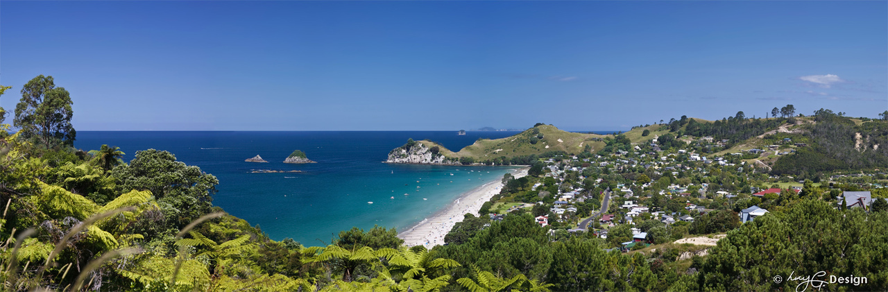 Mercury Bay Community Board Deputy Chair - Coromandel's CFM