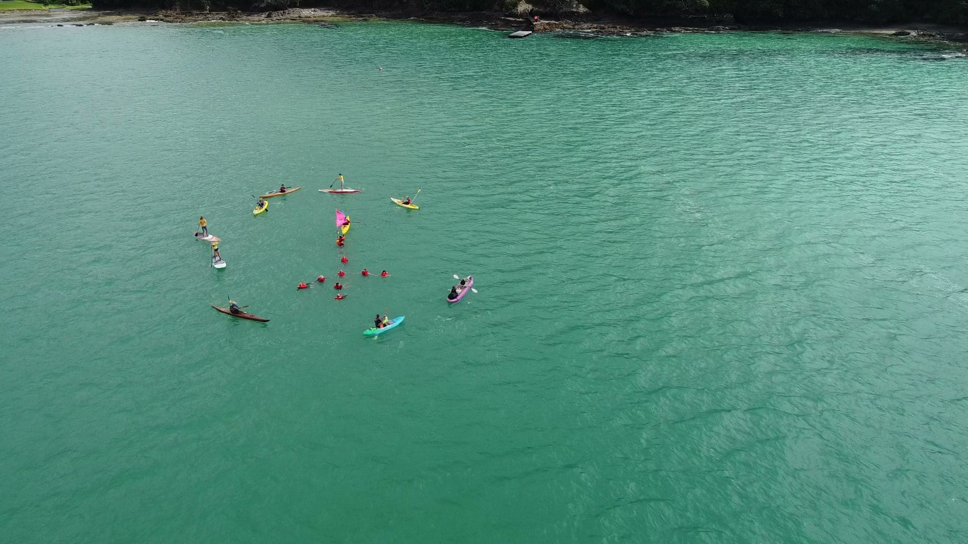 PEACE FLOTILLA AT HELENA BAY - Coromandel's CFM