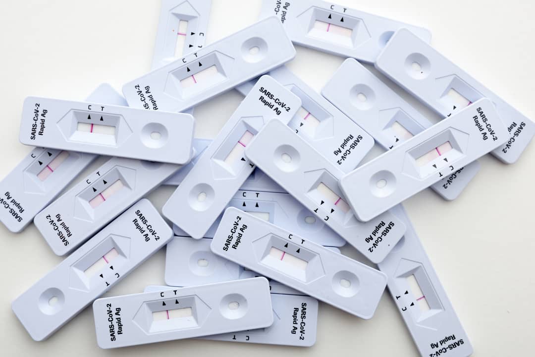 RAT TESTING - THAMES COROMANDEL UPDATE - Coromandel's CFM