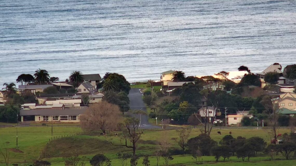 Coromandel's CFM Radio Station - Local Articles, Interviews, Blogs, News