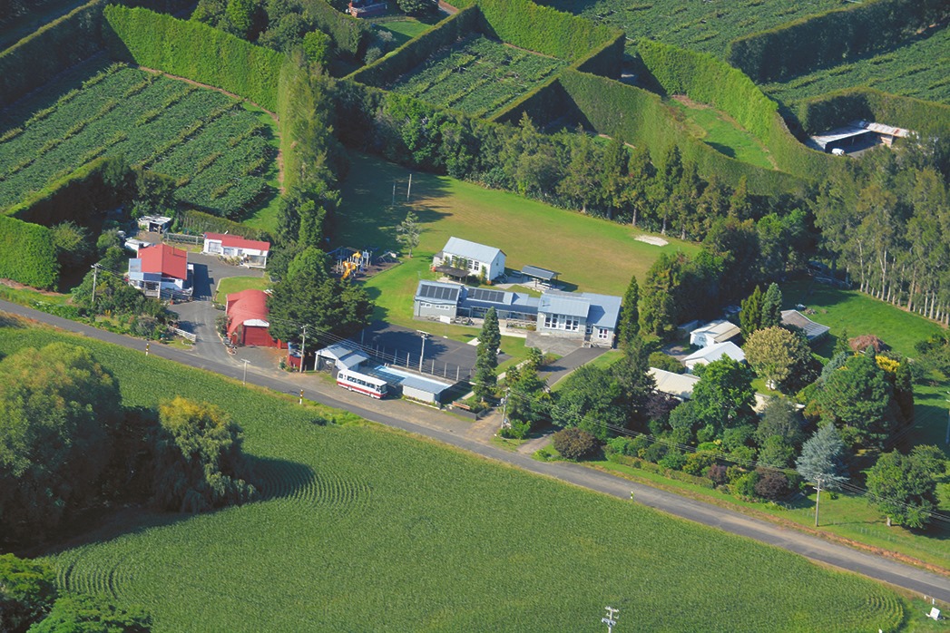 Pet Day - Coromandel's CFM