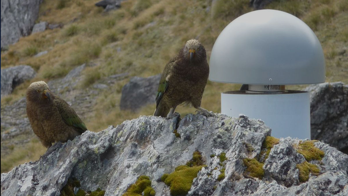 Te Aroha’s Country Market - Coromandel's CFM