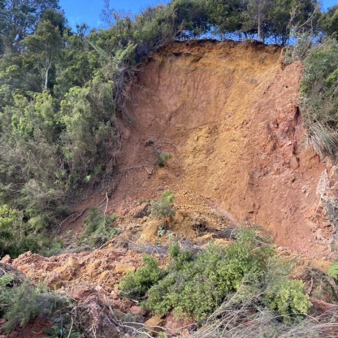 Bringing Country to the Beach - Coromandel's CFM