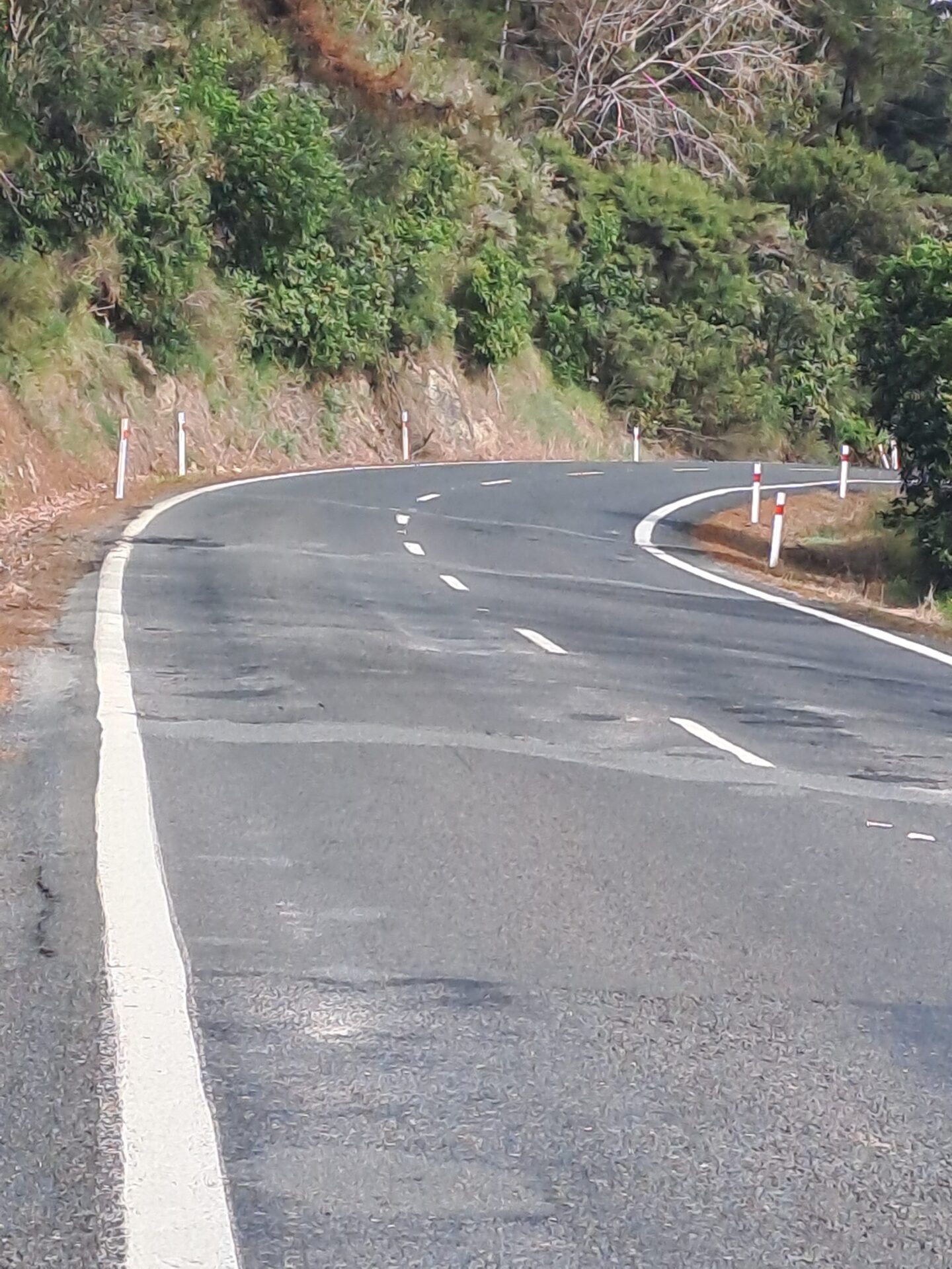 Roads A Priority In New Council Plan - Coromandel's CFM