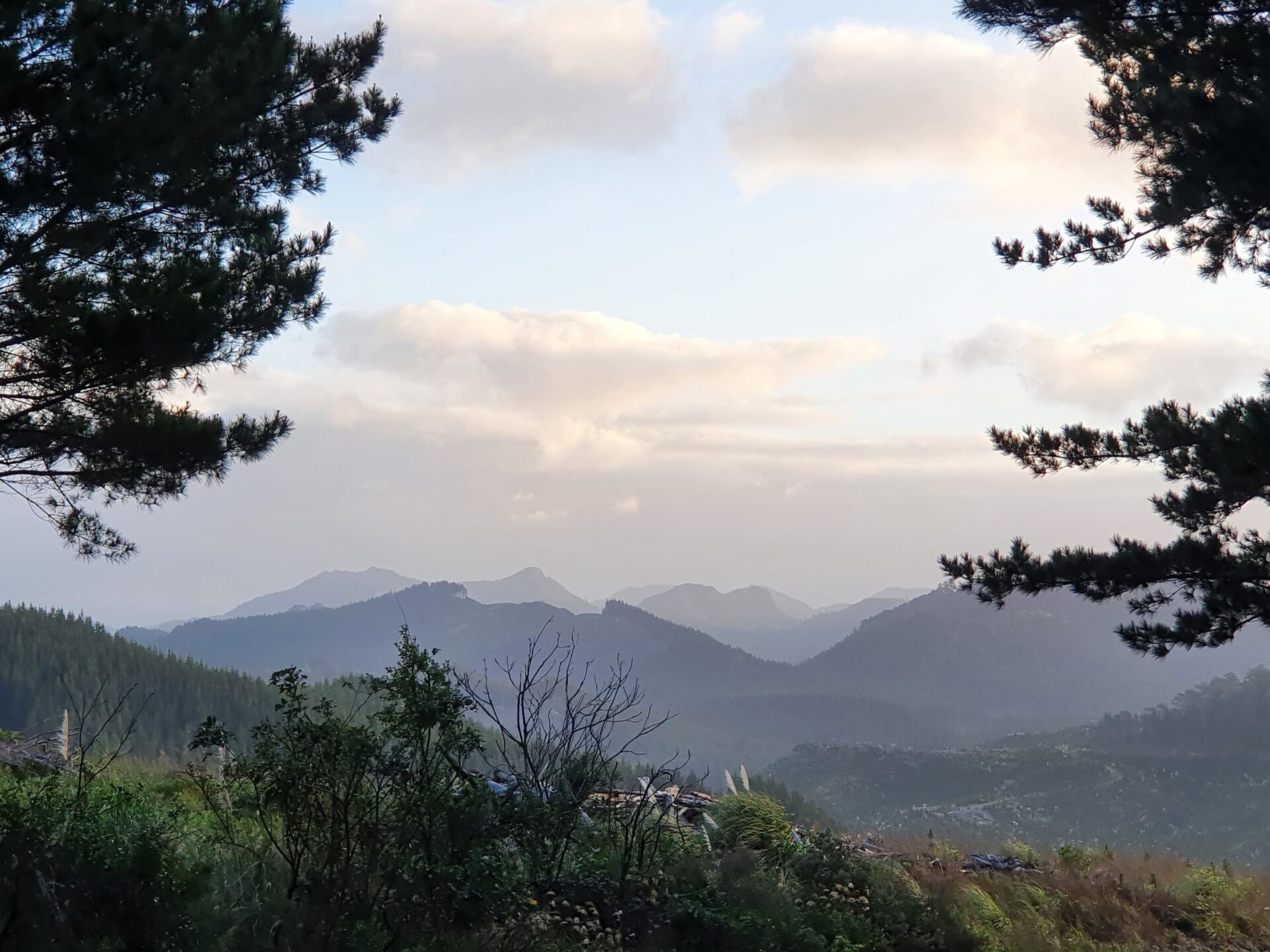 Outward Bound Keen On Coromandel Town - Coromandel's CFM