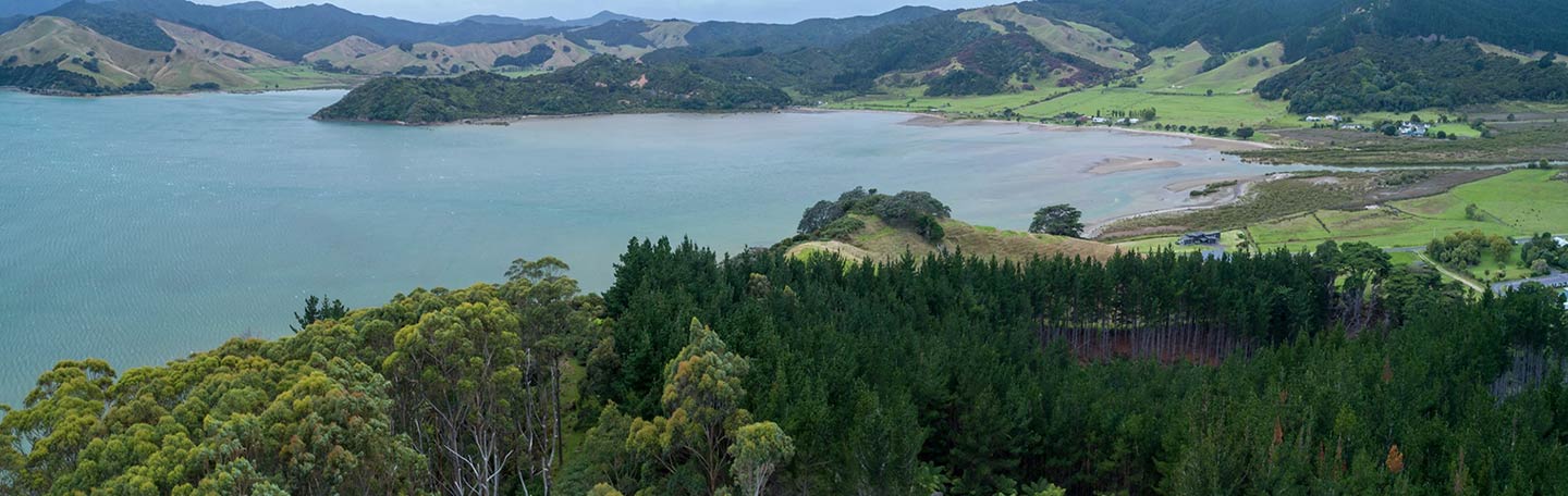 TCDC – Celebrating Volunteers - Coromandel's CFM