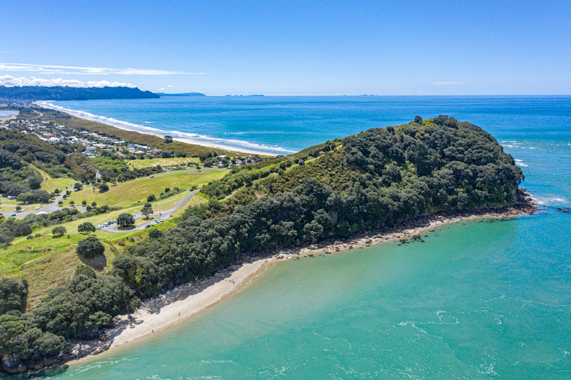 The Polar Plunge- Waihi - Coromandel's CFM