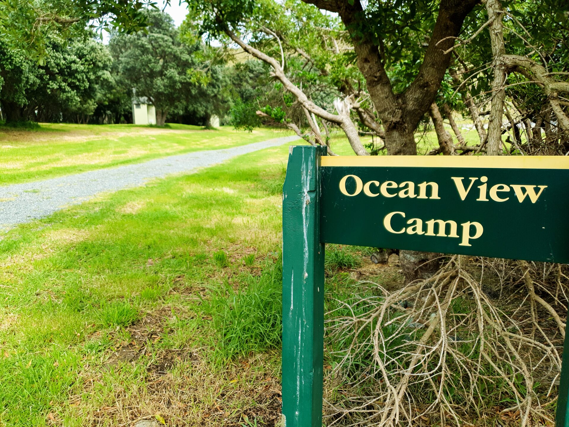 Campgrounds Back To Full Capacity for Summer Peak - Coromandel's CFM