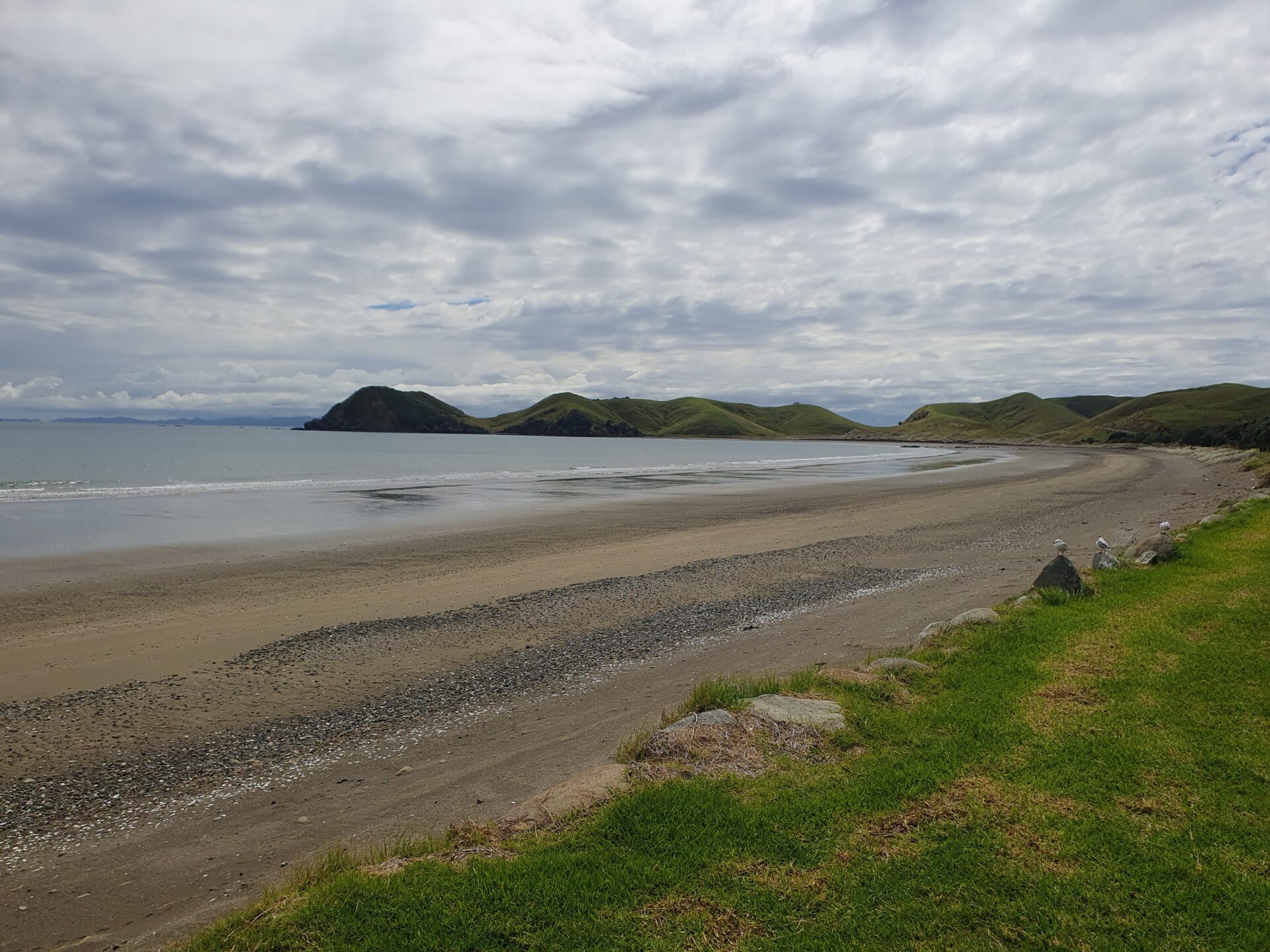 Pahi Walk Tourism Success - Coromandel's CFM
