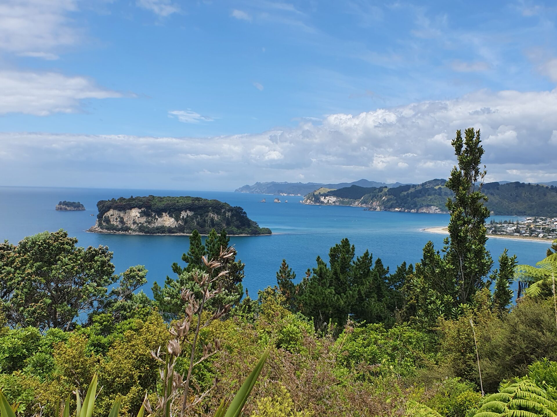 Youth Festival Gets Go Ahead - Coromandel's CFM