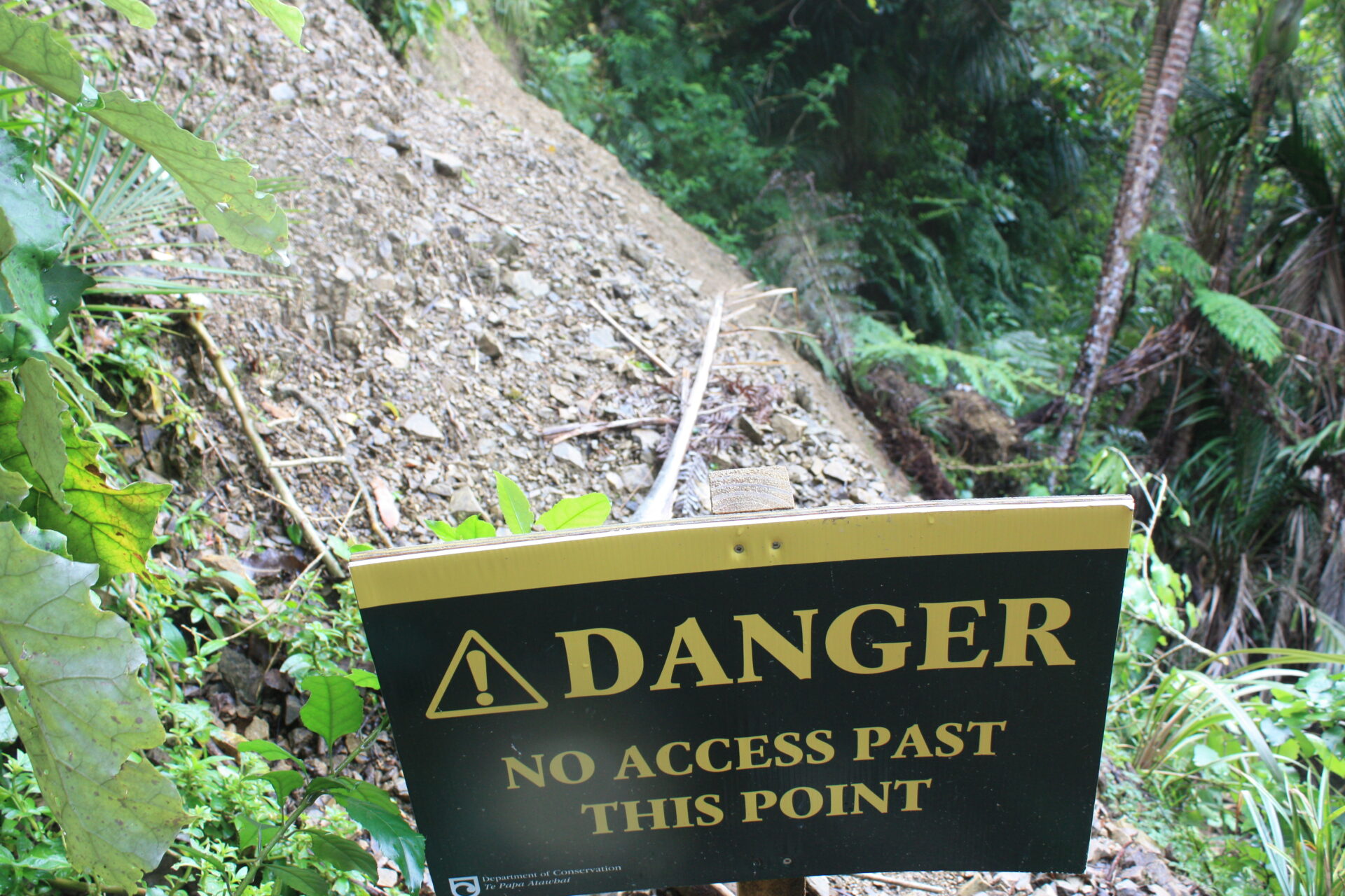 Three Options Identified for Restoration of SH25A - Coromandel's CFM