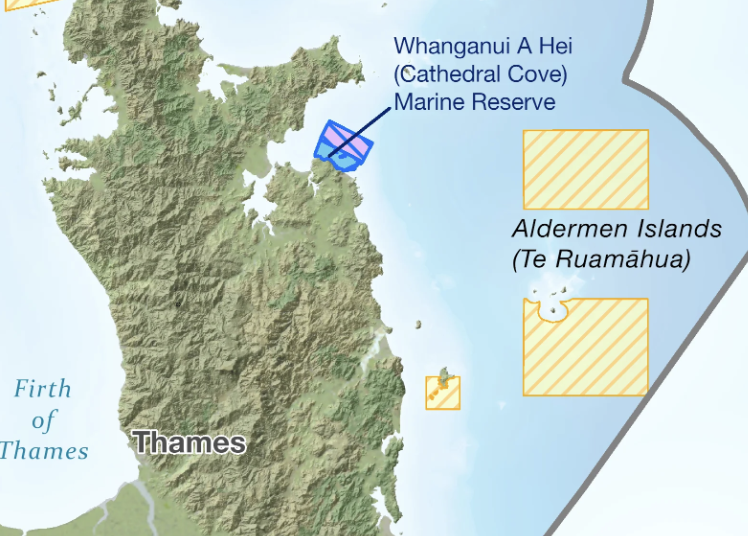 CFM Coromandel News - Coromandel's CFM