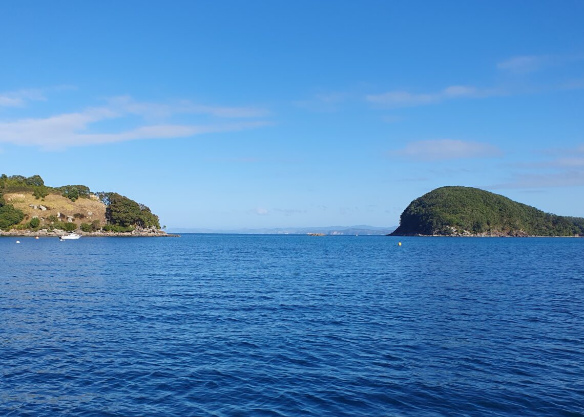 CFM Coromandel News - Coromandel's CFM