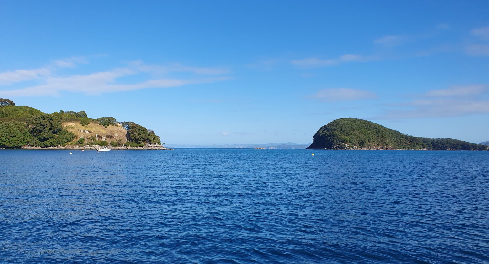 Three Options Identified for Restoration of SH25A - Coromandel's CFM