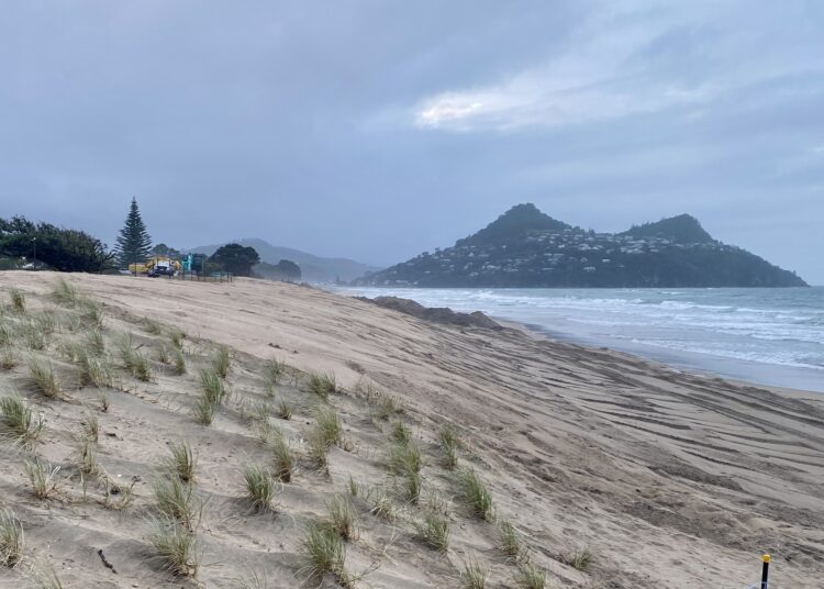 CFM Coromandel News - Coromandel's CFM