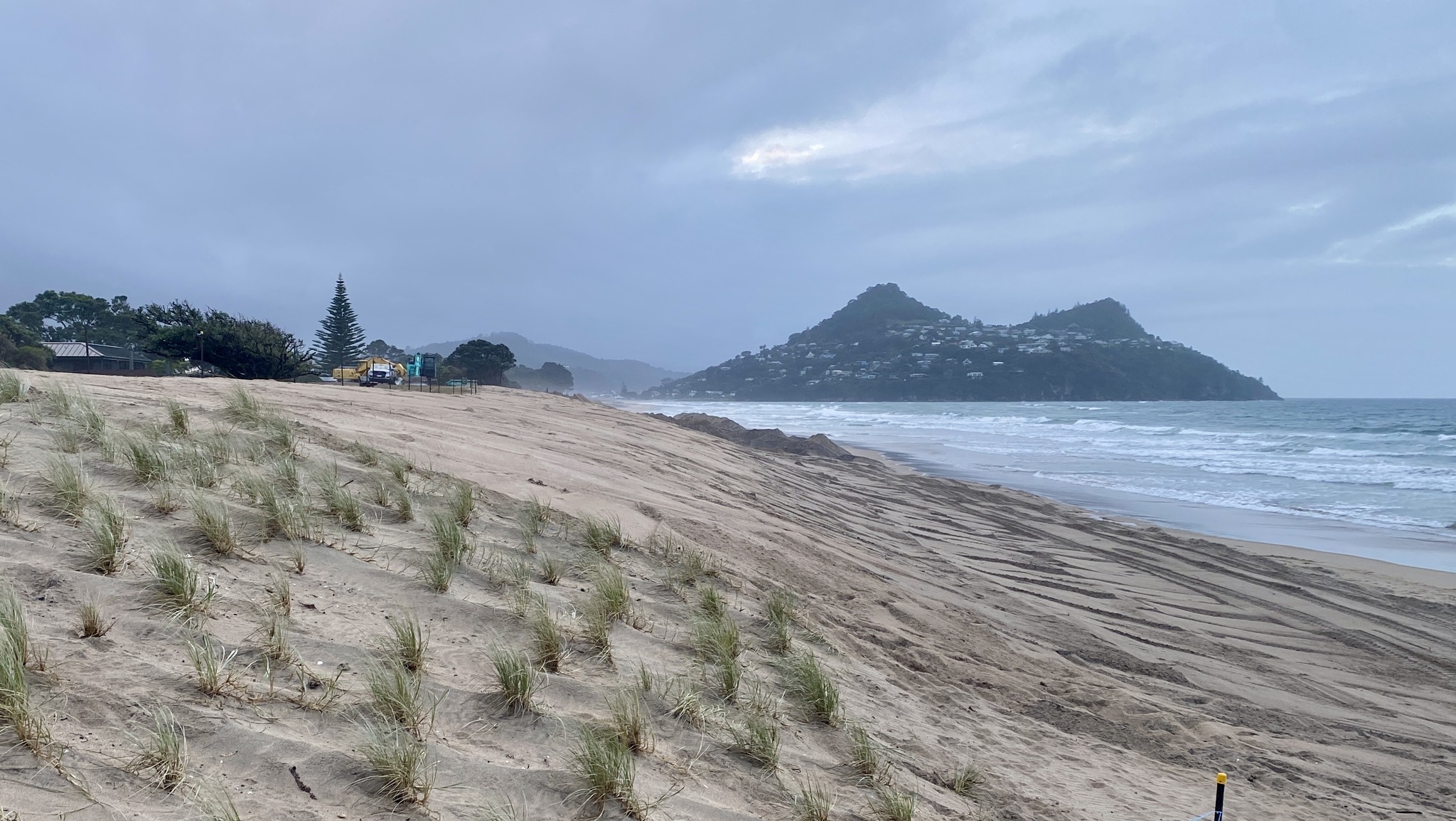 Two Person Race for Regional Council Berth - Coromandel's CFM