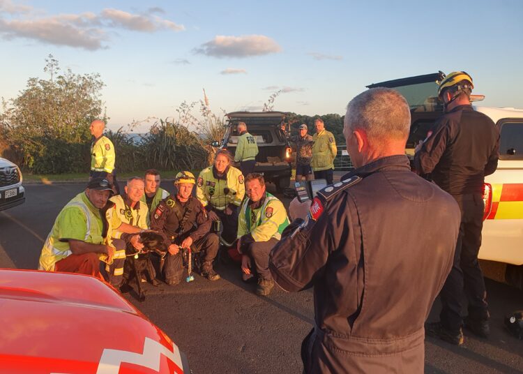 CFM Coromandel News - Coromandel's CFM