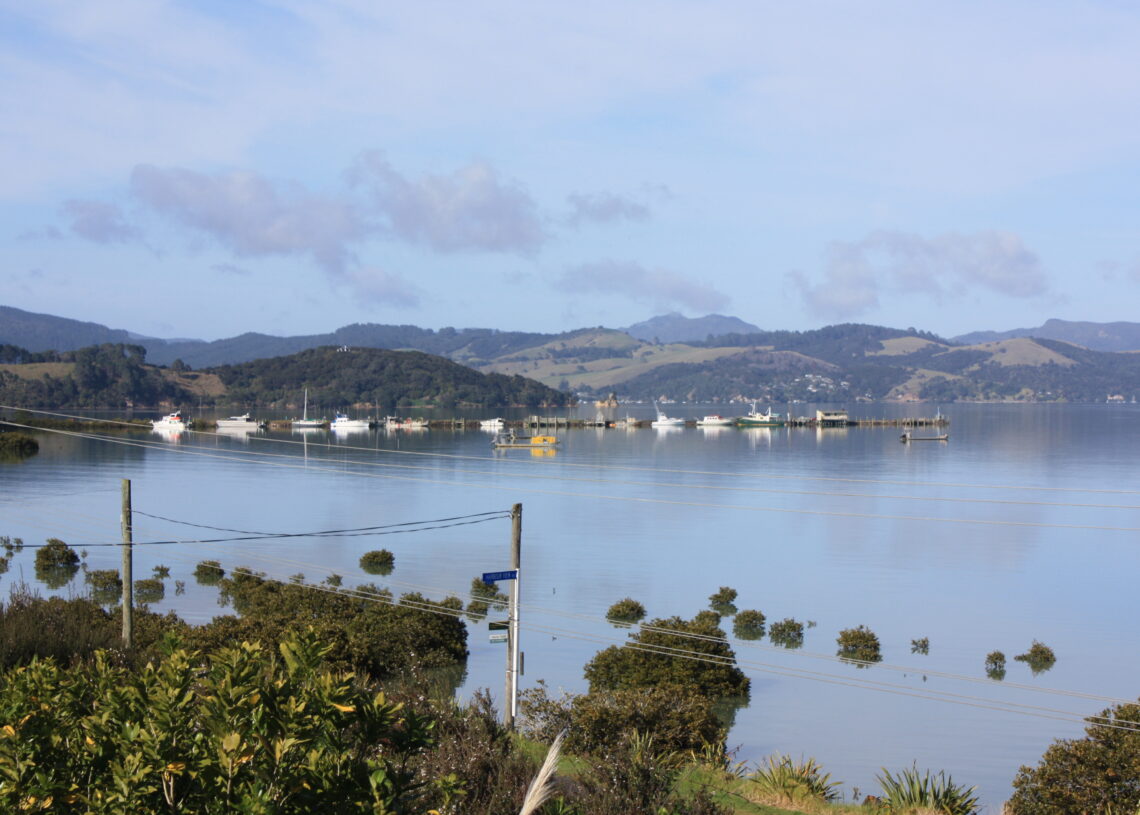 CFM Coromandel News - Coromandel's CFM