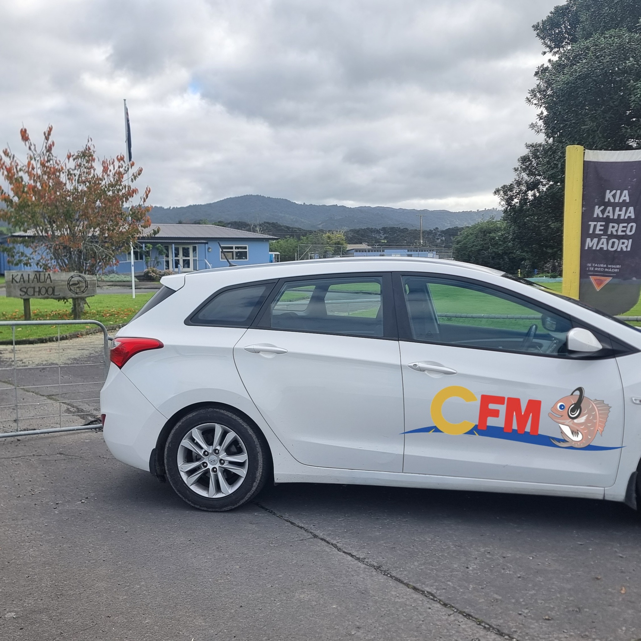 Kaiaua School: Calf Club Day - Coromandel's CFM